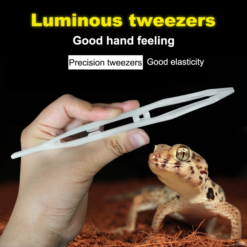 Noctilucent Tweezers Reptile Feeding Tools Reptile Insects Lizard Gecko ...