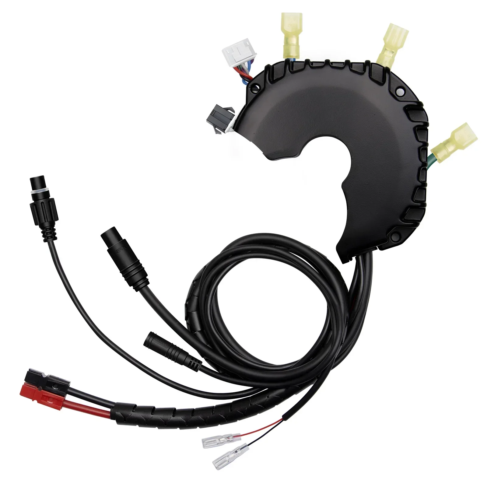 Store Home Products Outdoor Fun Feedback