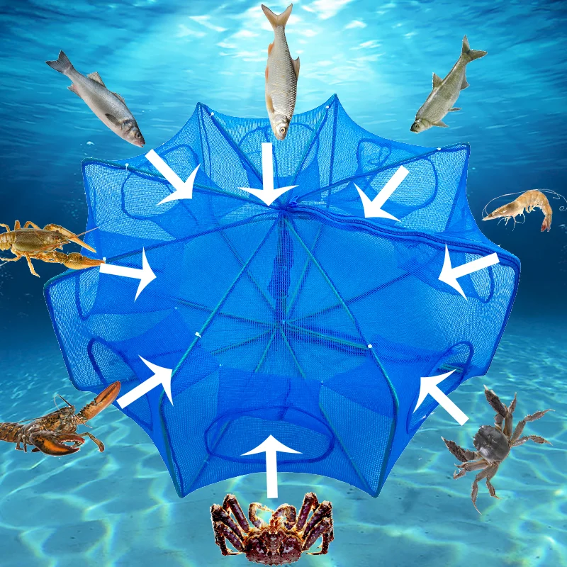 High-quality-fishing-cage-crab-cage-shrimp-cage-foldable-6-sizes-blue ...