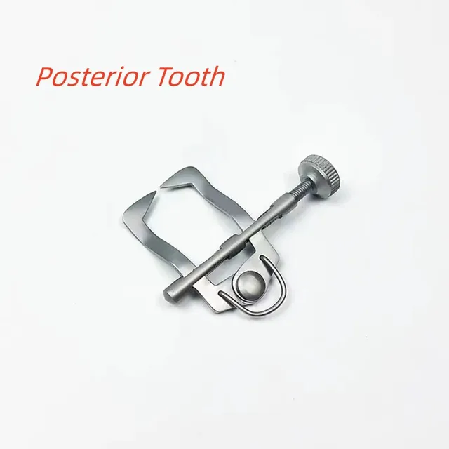 1/2Pcs Dental Tooth Teeth Separator Anterior/Posterior Tooth Divider ...