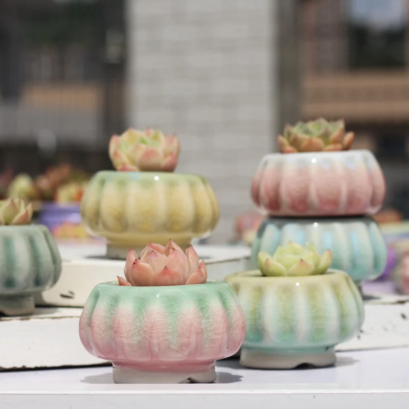 Creative-Mini-Ceramic-Flowerpot-Simple-Floral-Design-Succulent-Plant ...