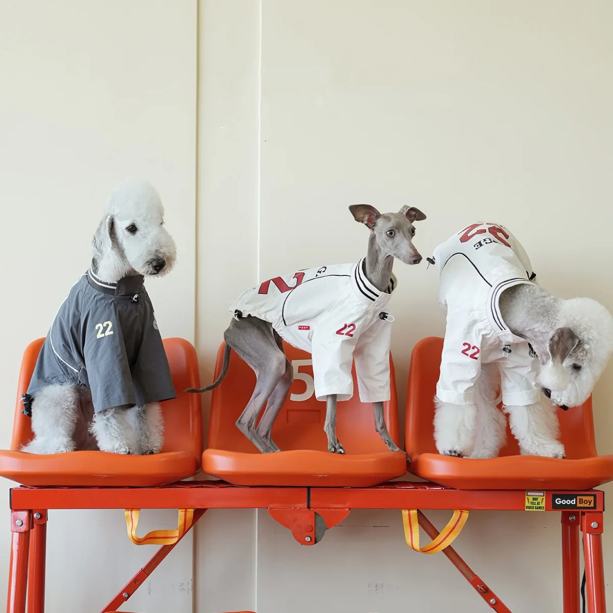 White Vintage Sports Jersey for Bedlington Dog Spring Summer Light ...