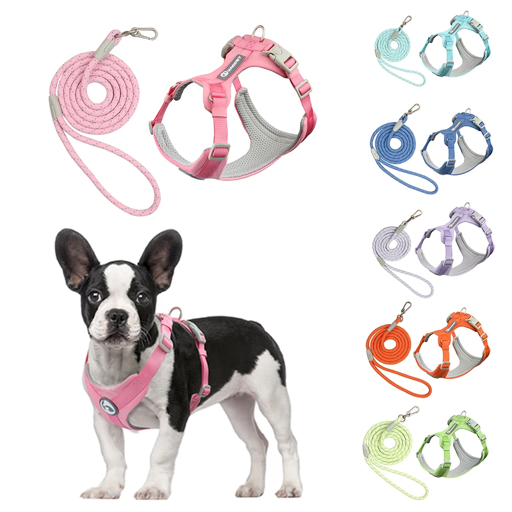 Walking-Dog-Harnesses-Set-With-Leashes-Pet-Dog-Cat-Gifts-Vest-For-Small ...