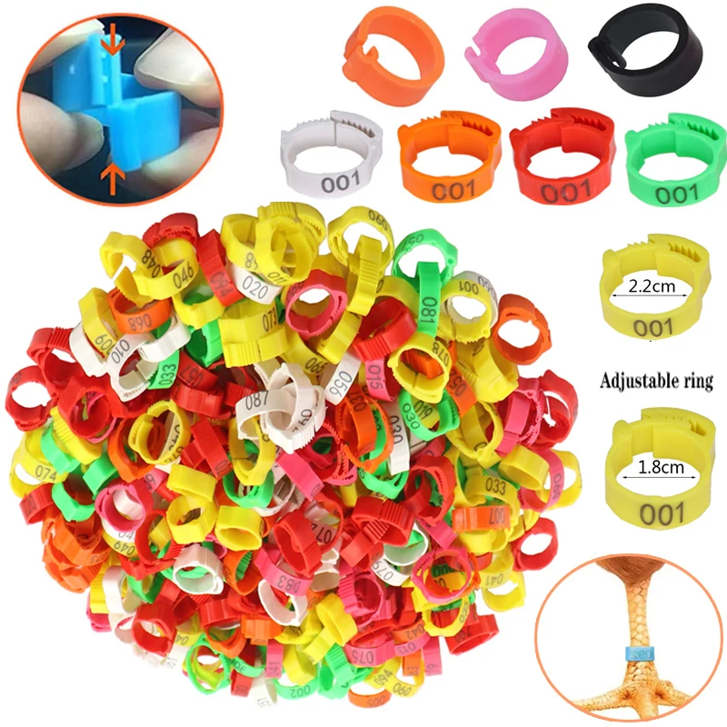 Chicken-Foot-Rings-Label-Clasp-Plastic-Adjustable-Poultry-Leg-Snap ...
