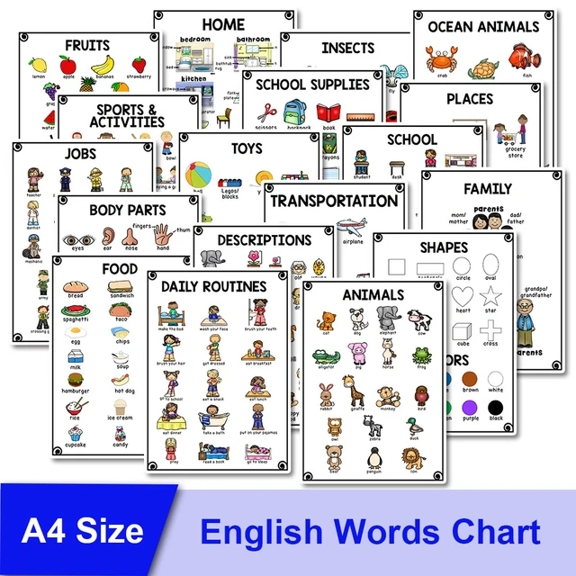 English Vocabulary Flash Card