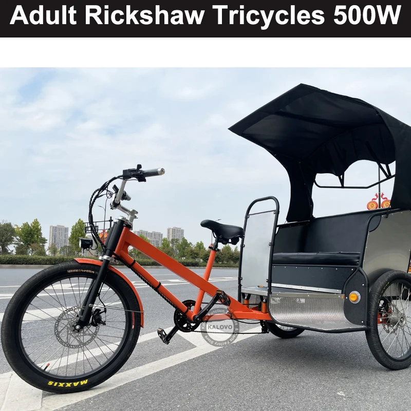 Pedicab-Rickshaw-Manufacturer-City-Taxi-2-seat-Pedal-Assist-Passenger ...