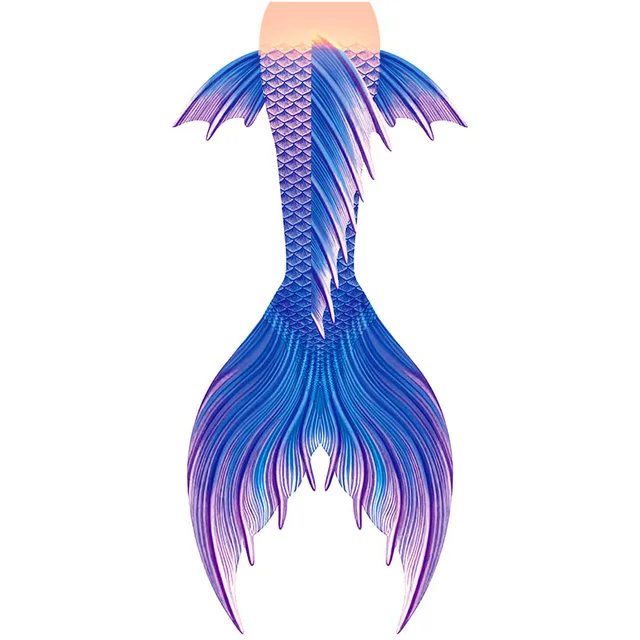 Mermaid Tail Anatomy