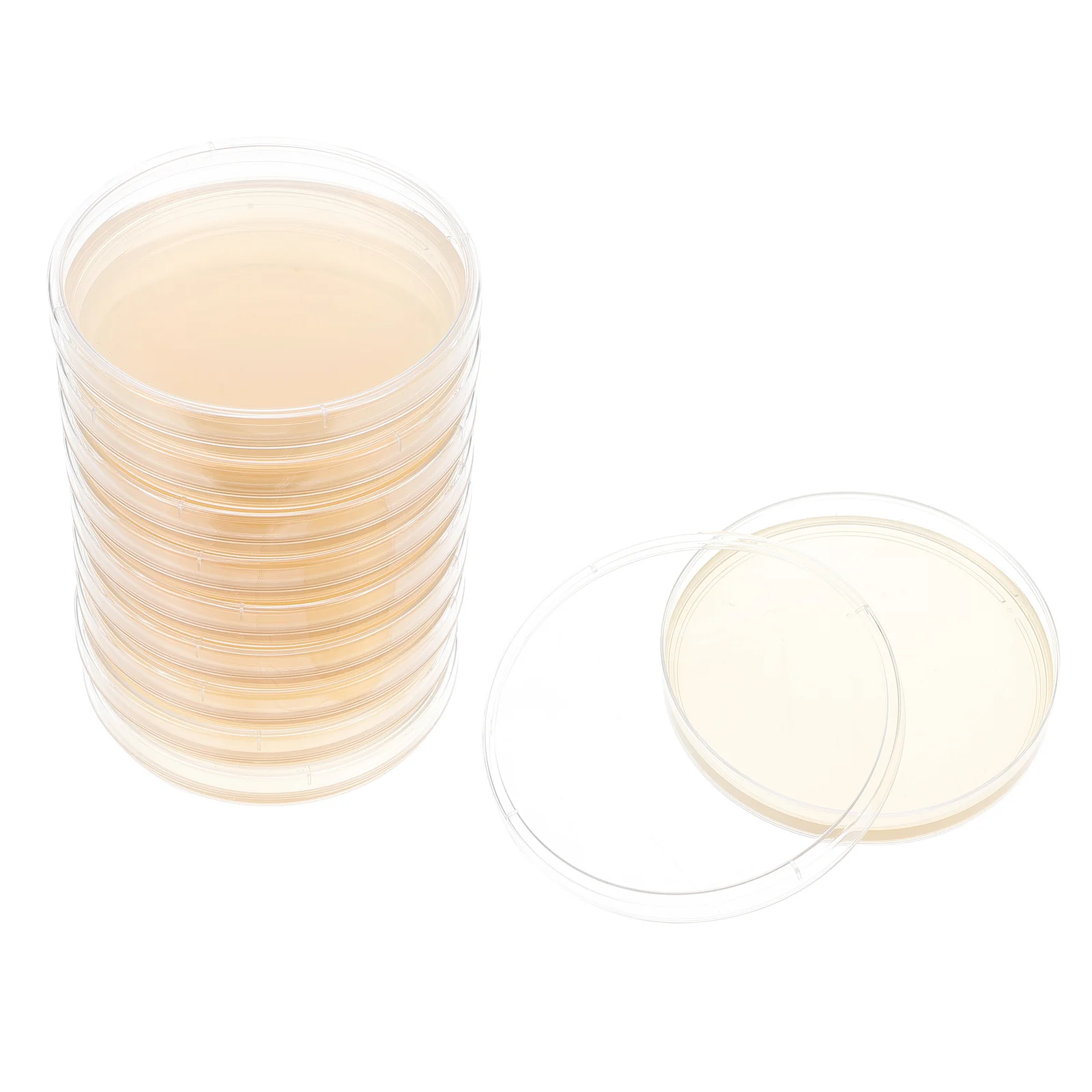 10pcs Nutrient Agar Plates 9cm Ready To Use TSA Agar Petri Dishes ...
