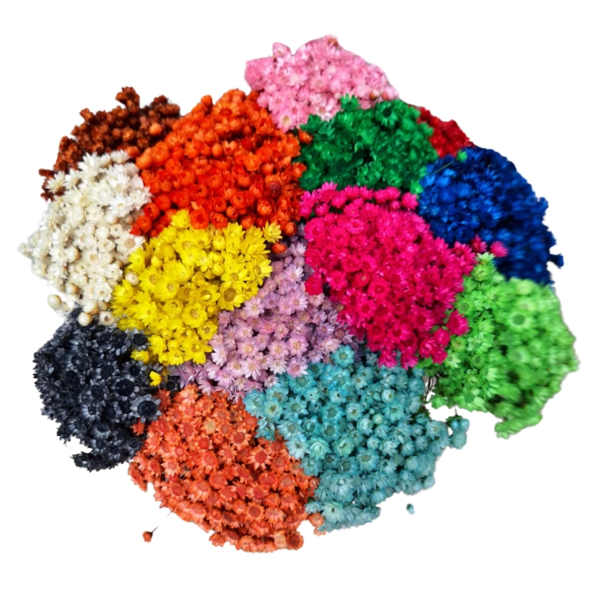 600 Sempre Viva Florzinha Azul I Flores Desidratadas - AliExpress 15