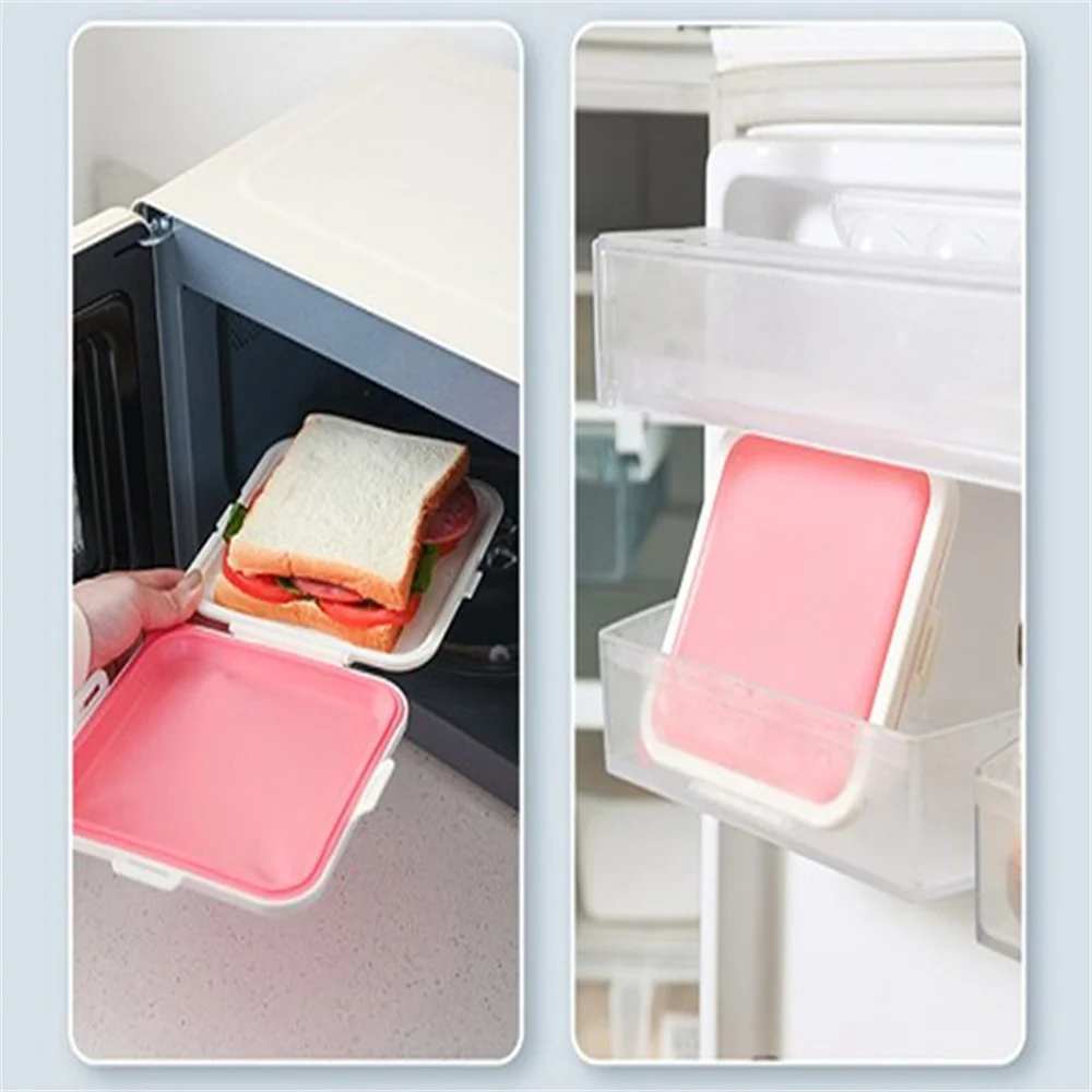 Food Storage Container Sandwich Boxes | Free Global Delivery