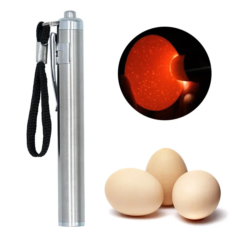 Everything You Need to Know About the Egg Candler Tester with High ...