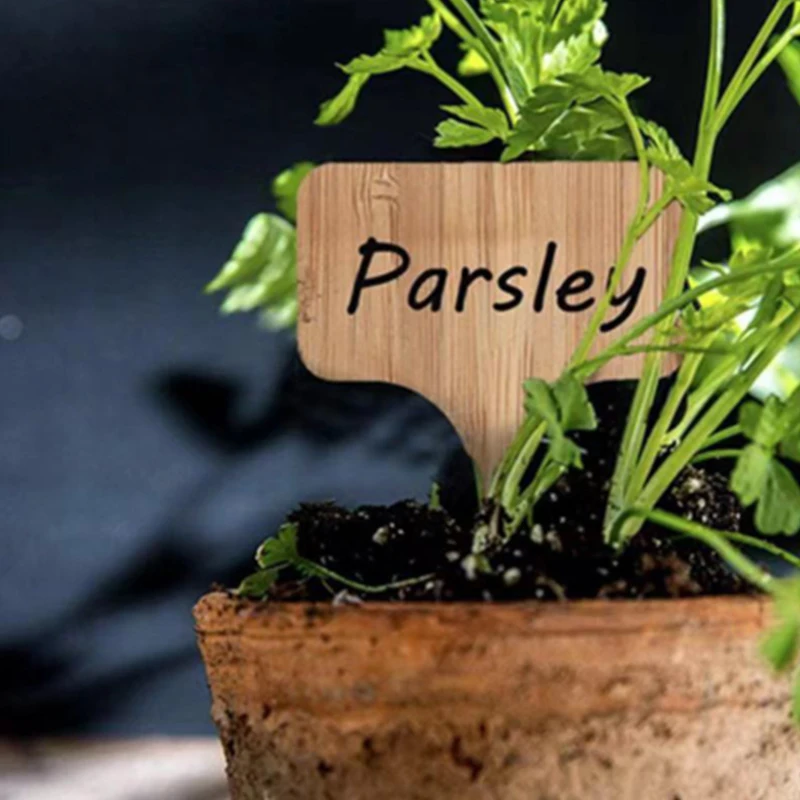 10-50pcs-Lot-Wooden-Plant-Labels-Vegetable-Sign-Tag-For-Garden ...