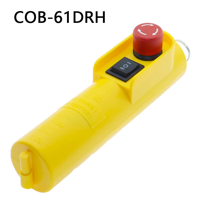 COB-61DRH-direct-operation-rain-proof-crane-control-electric-hoist-with ...