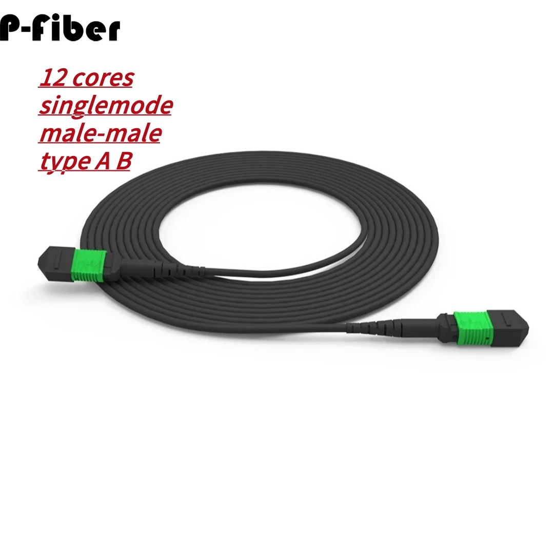 MPO APC armored fiber jumper 12 cores singlemode male-male type B A 5m ...