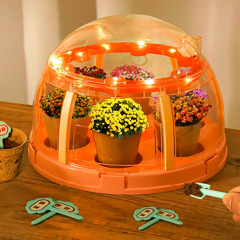 Plant-Planting-Lab-Set-Kids-Toy-Learning-Education-Biology-Ecological ...