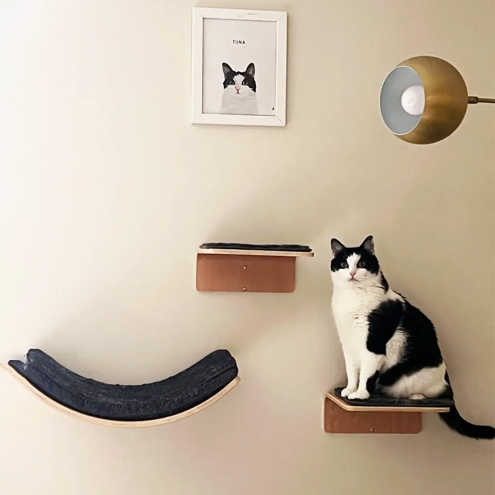 Repisa para gatos con cojines, plataforma para gatos de pared ...