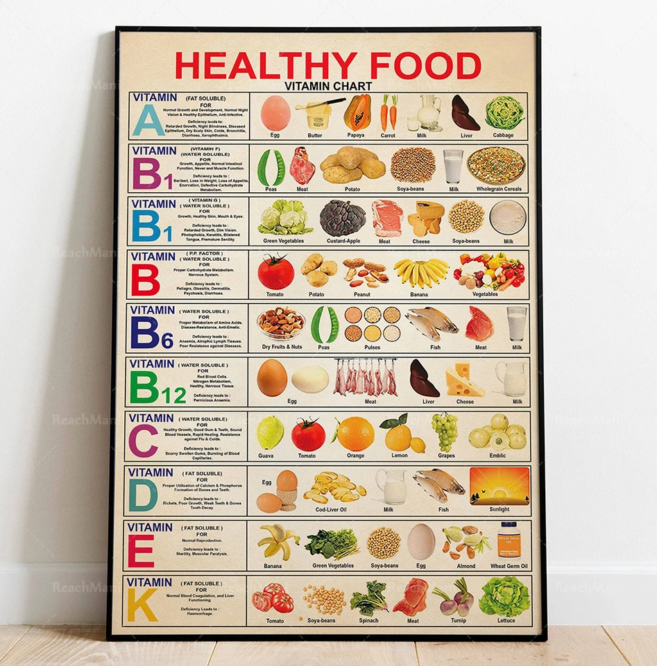 Kitchen Infographic Poster