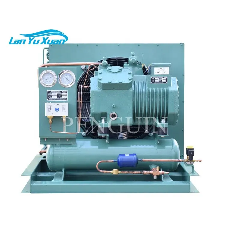Low-Temp-Coldroom-Single-Phase-Small-3HP-Compressor-Condensing-Unit ...