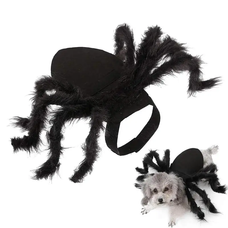 Halloween-Pet-Spider-Costume-Simulation-Black-Spooky-Spider-Clothes ...