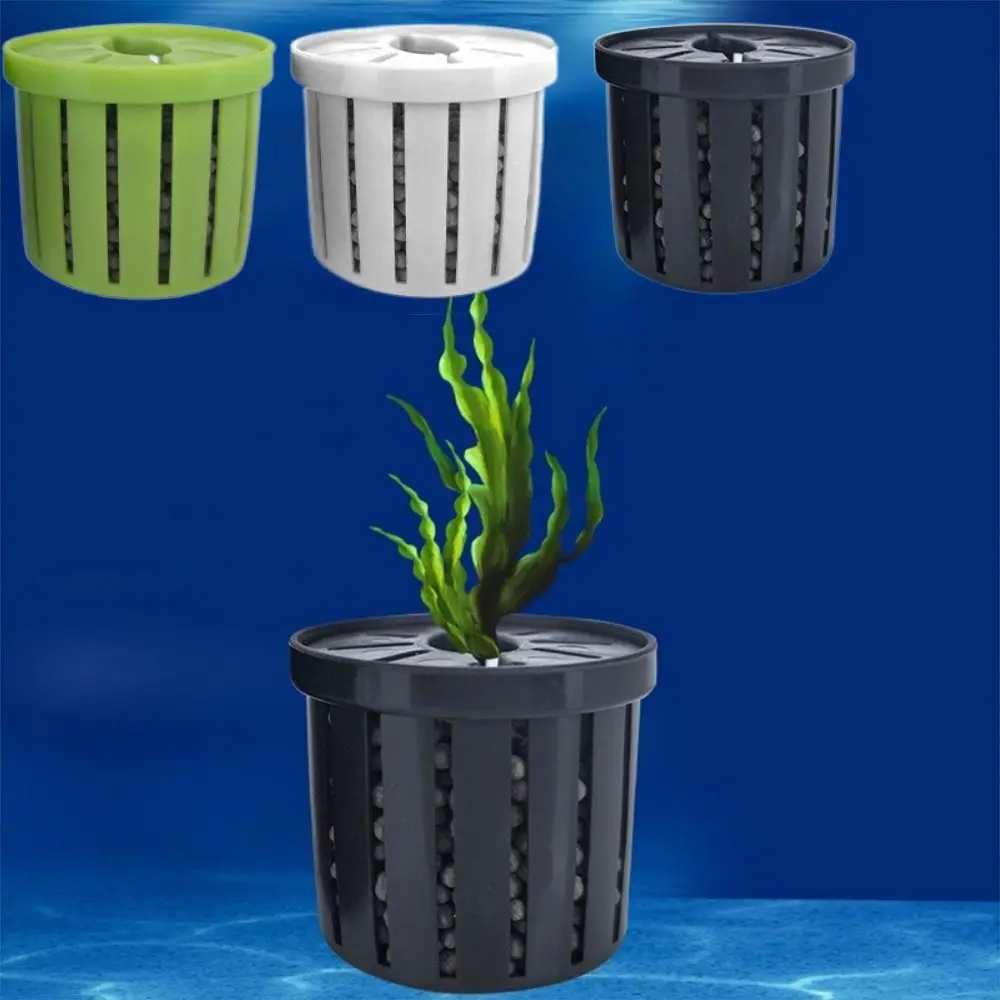 Water Plant Landscape Fish Tank Hydroponic Planting Basket Planting ...