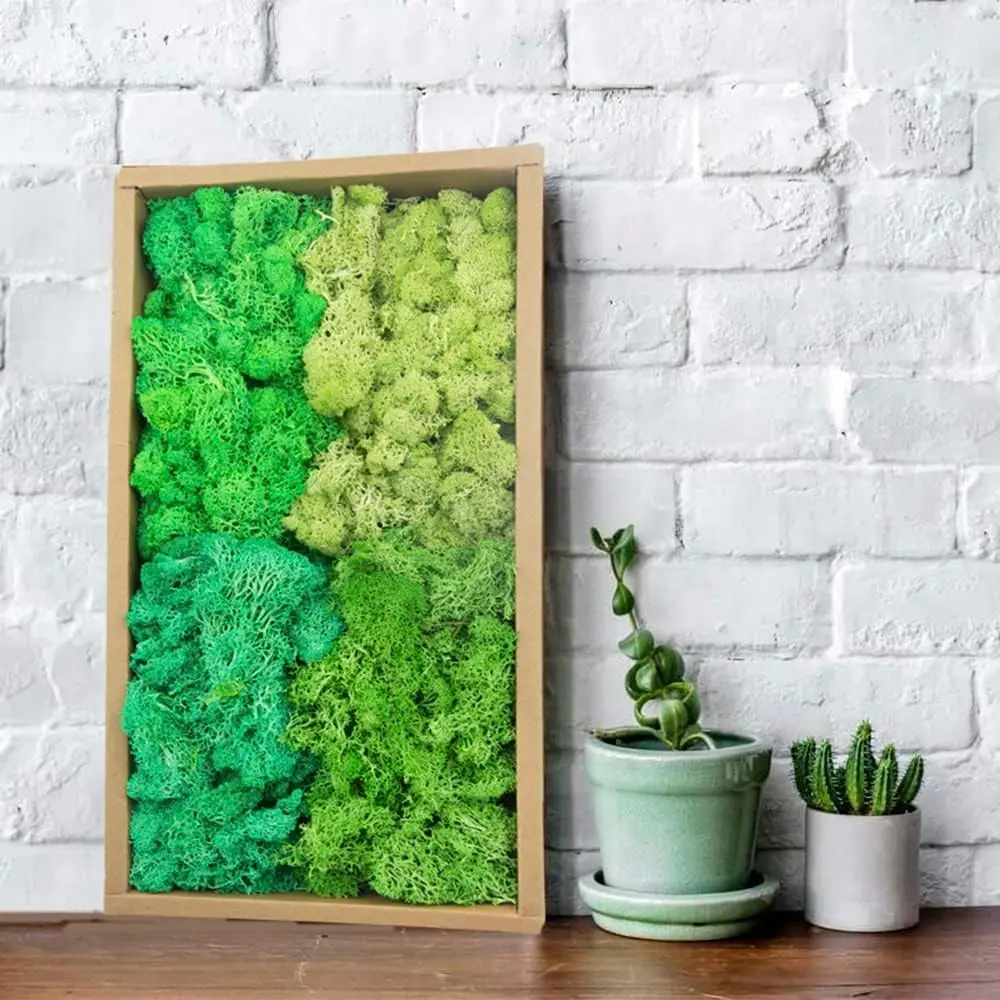 Piante-verdi-artificiali-muschio-muschio-di-colore-verde-naturale-vita ...