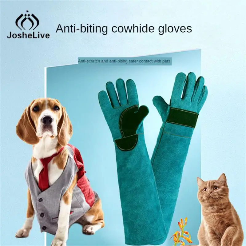 Anti-Bite-Leather-Gloves-Thick-And-Durable-Pet-Training-Anti-Bite ...