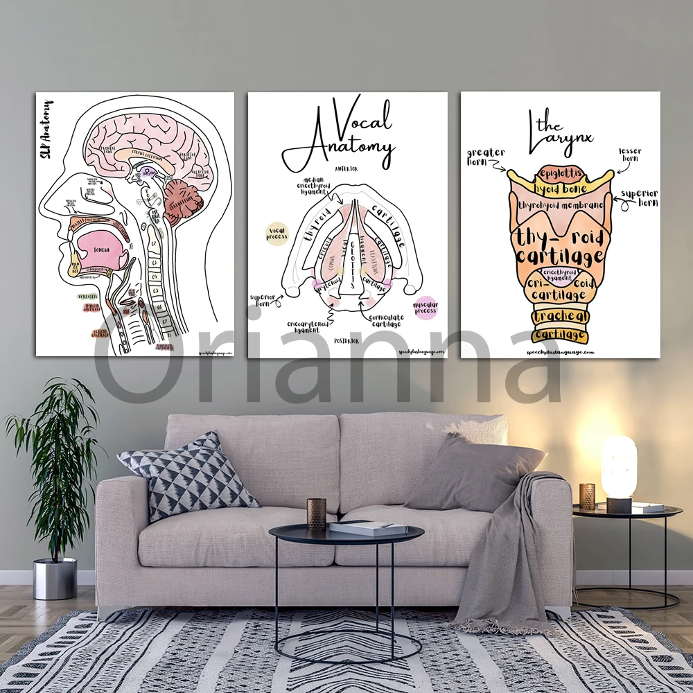 Modular Home Decor Anatomy & Physiology Labeled Pictures Hd Printed ...