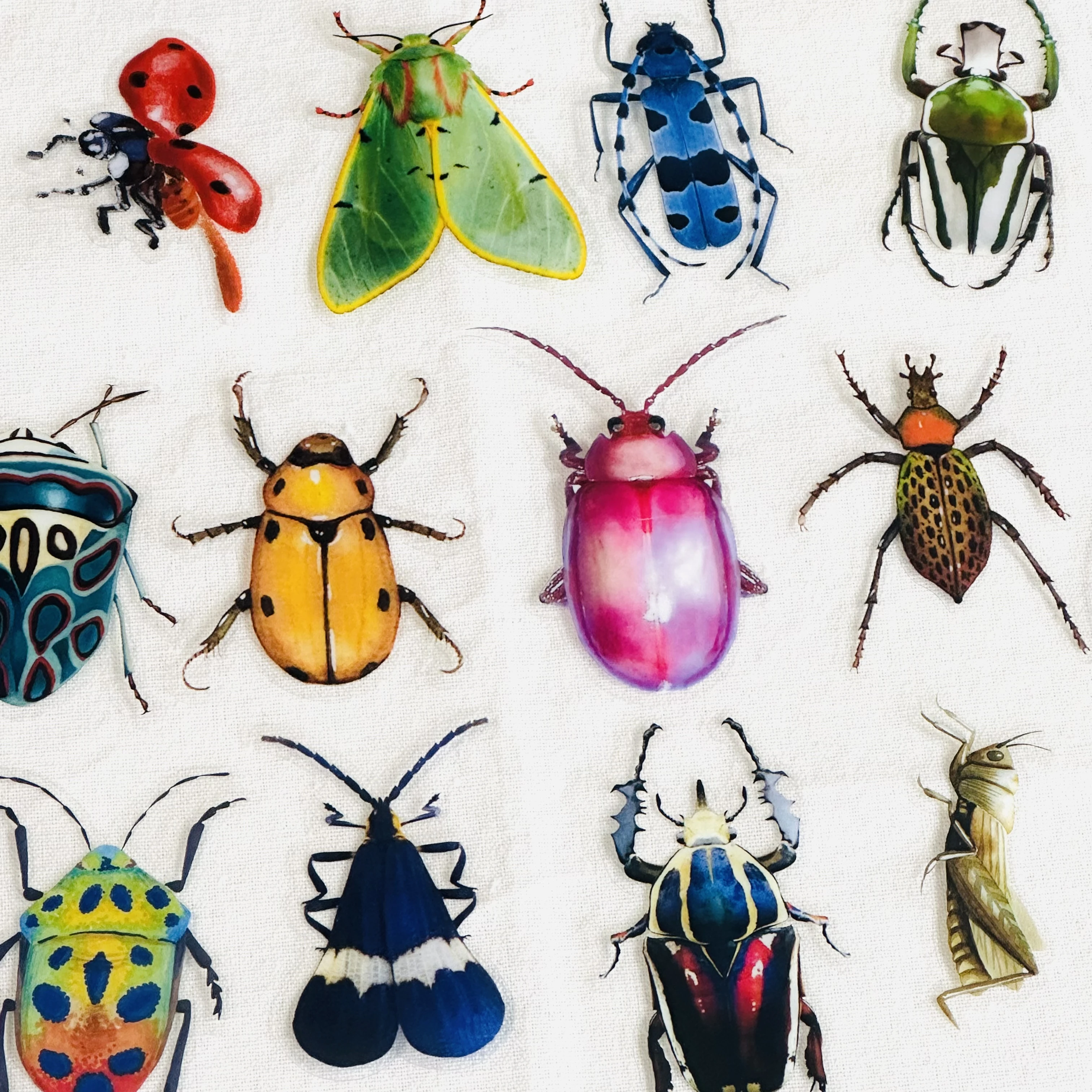 20PCS-Vintage-Crustacean-Insect-Specimen-Sticker-DIY-Scrapbooking ...