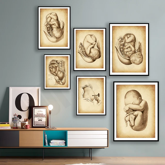 Embryo Art