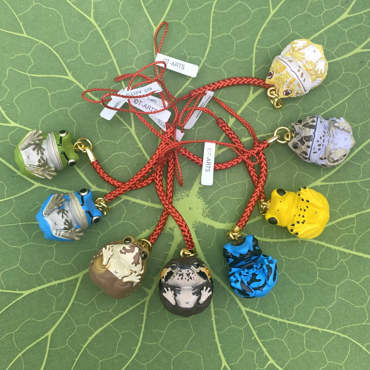 Genuine TAKARA TOMY Round Animal Colorful Rain Frog Poison Frog Small ...