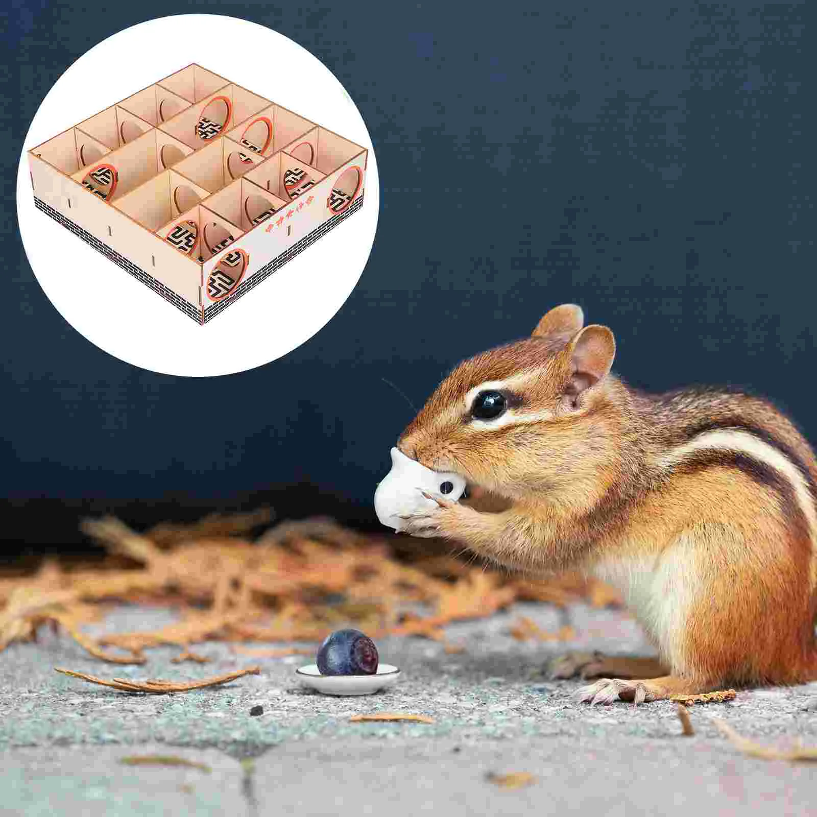 Wood Rat Maze