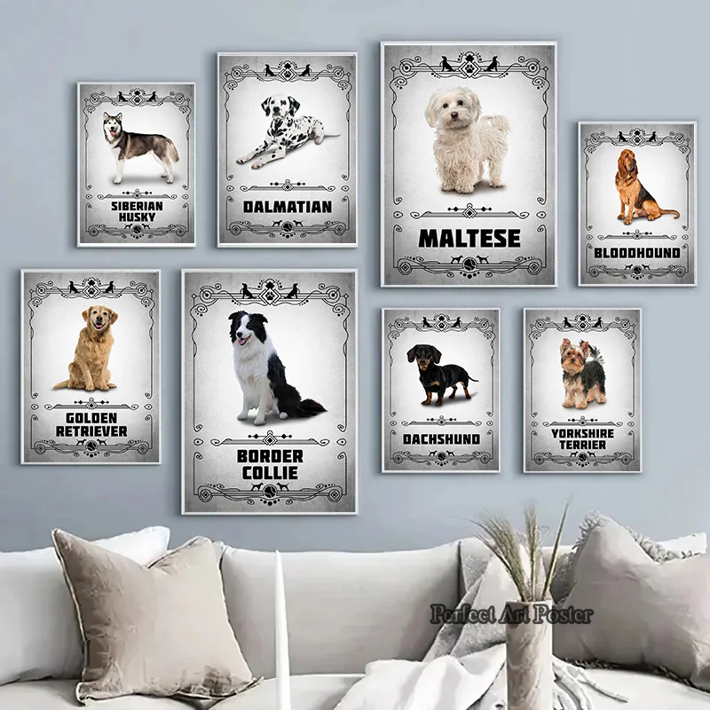 Dog Breeds Posters and Prints Animals Pet Border Collie Pomeranian ...