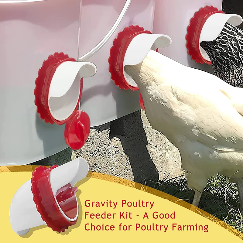 Chicken-Feeder-Poultry-Feeding-Supplies-DIY-RainProof-Poultry-Feeder ...