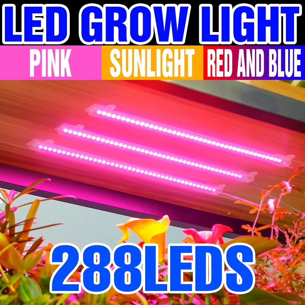 S7b8779a7939444f3bc1bf2a05d90f3363.jpg