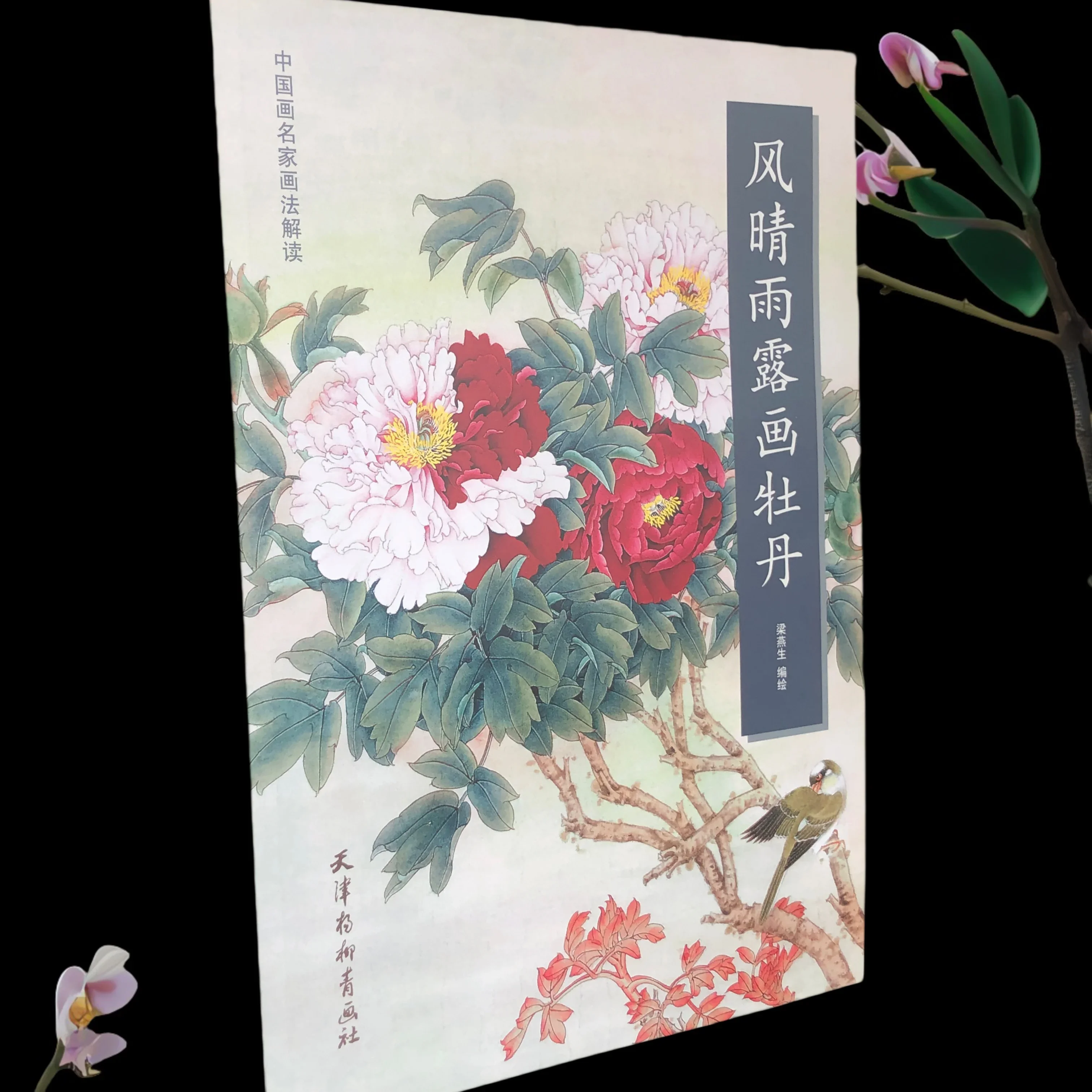 What is Furry Gay Animation and How to Explore This Unique Art Form?