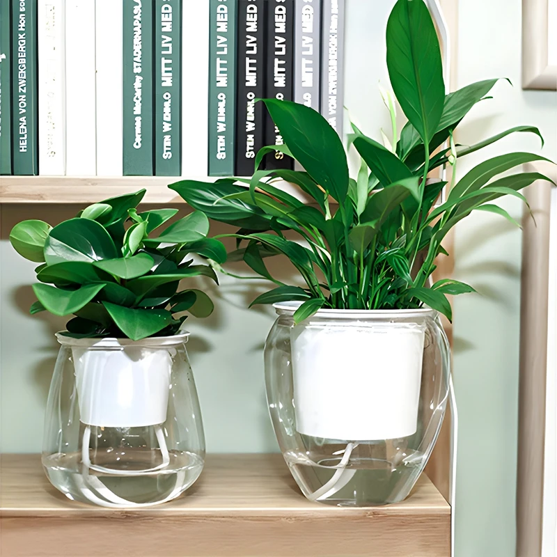 Transparent-Flower-Pots-Round-Hydroponics-Plant-Pot-Vase-Self-absorbent ...