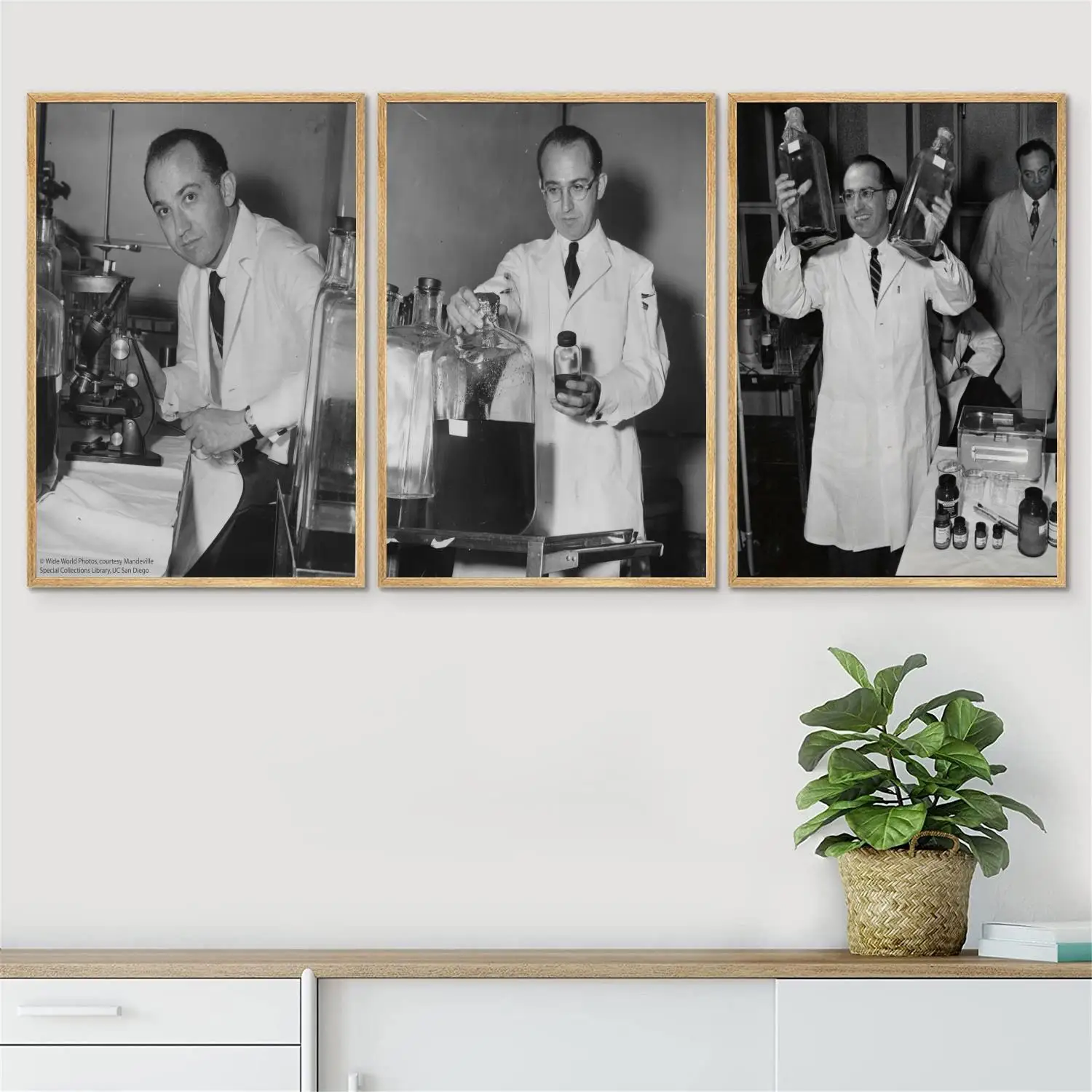 Jonas salk virologista parede arte da lona cartazes decoração arte ...