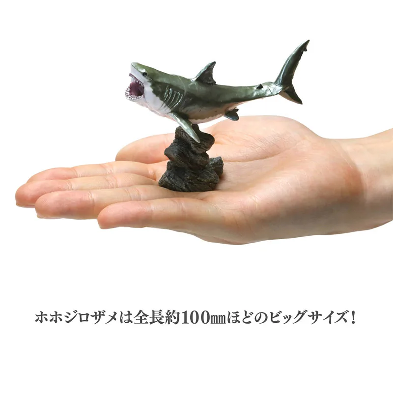 BANDAI-Mini requin Gashapon Egg Big Seattle Map of Carcharodon Carpros ...
