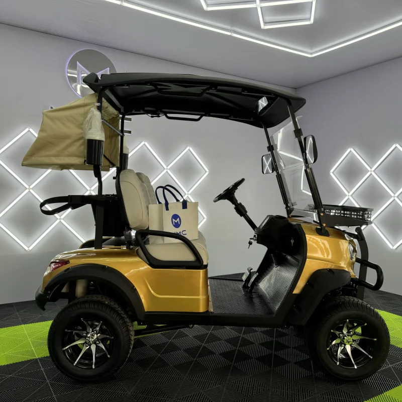 2025 New Casual 2+2 4 6 Seats Off-Road Golf Buggy 2DW 4DW Customize ...