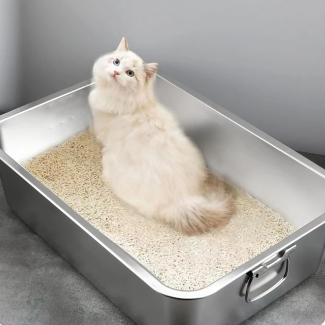 Ferret Litter Box