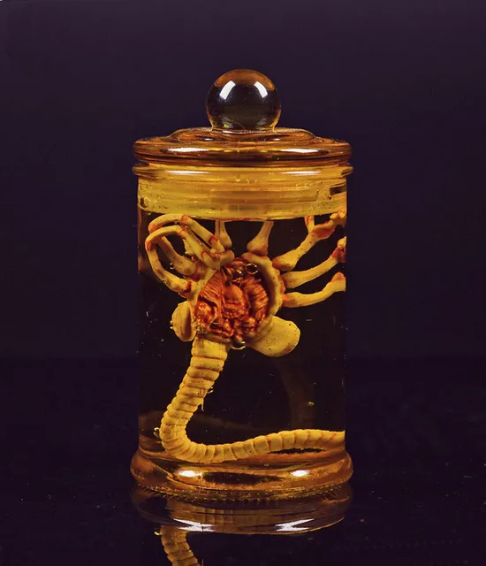 Alien Jar Xenomorph Specimen Facehugger Embryo Glass Jar Movie Prop ...