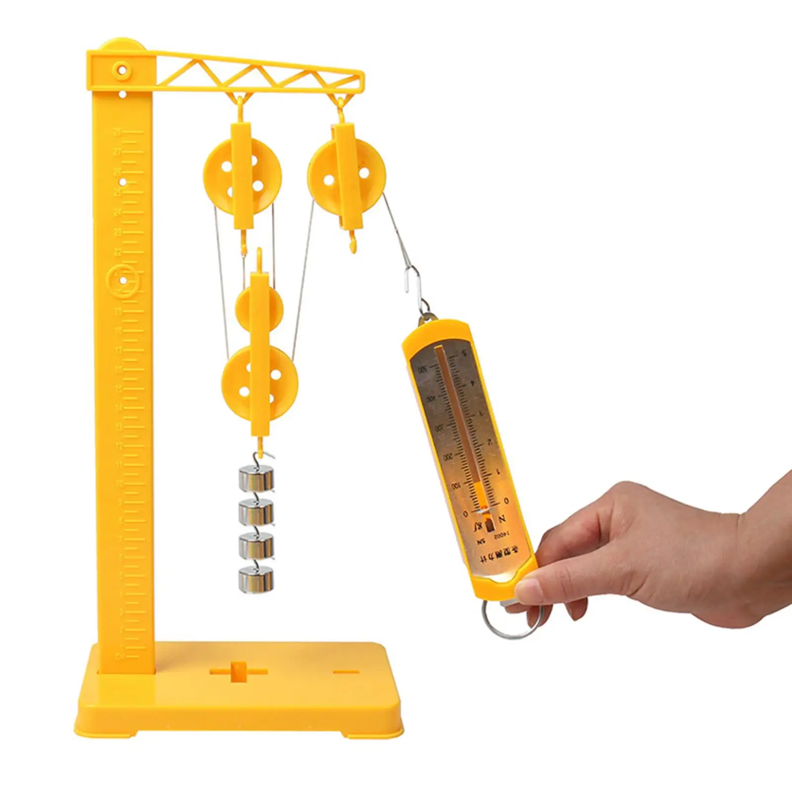 Fixed-and-Movable-Pulleys-Physics-Experiment-Science-Equipment-Teaching ...