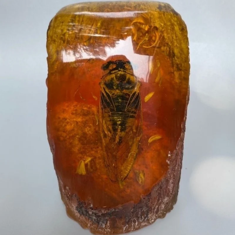 Amber-Antique-Crafts-Artificial-Amber-with-Bugs-Scorpion-Knows-Crab ...
