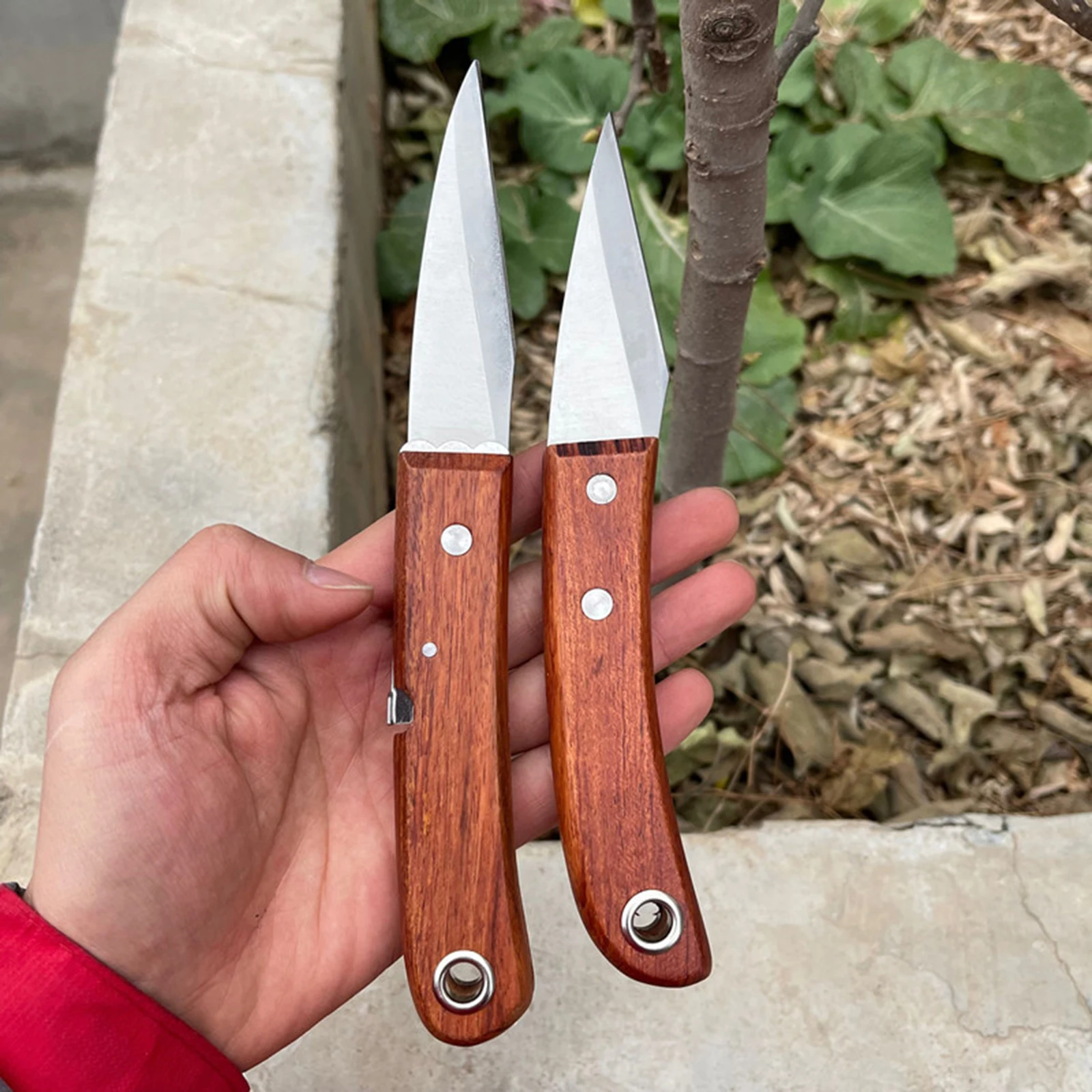 Wooden Grafting Knife Foldable Grafting Pruning Knife Garden Grafting ...