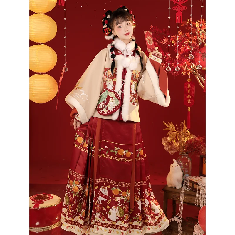 2 Colors Traditional Chinese Style Winter Hanfu Dress Set Ming Dynasty ...