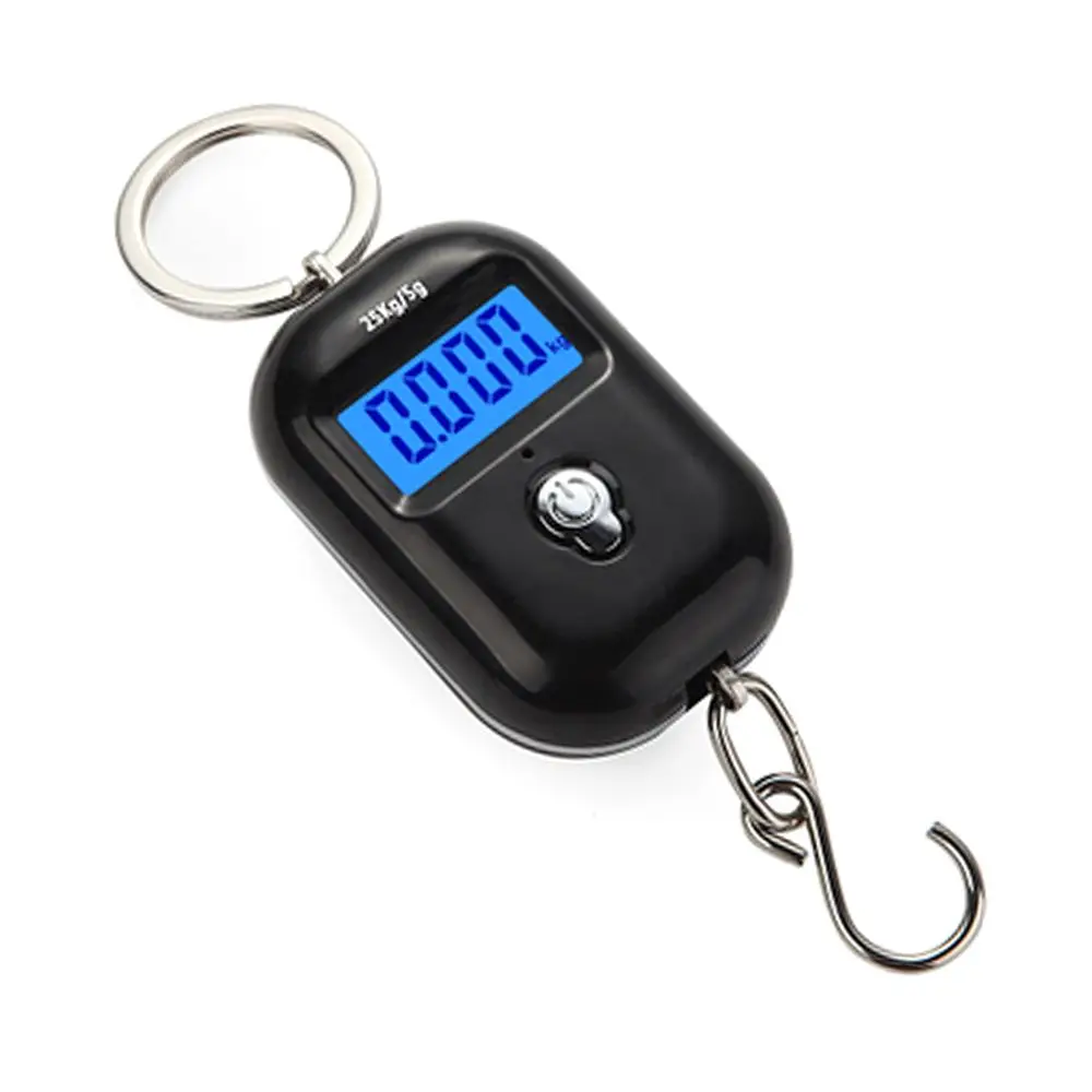 Balance numérique suspendue à Mini crochet 25kg-5g,outil de pesage ...