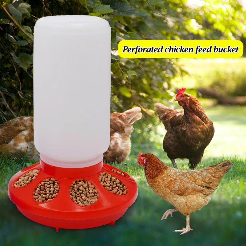 Kippenwaterdrinker-Feeder-1l-Capaciteit-Gevogelte-Feeder-Kommen ...