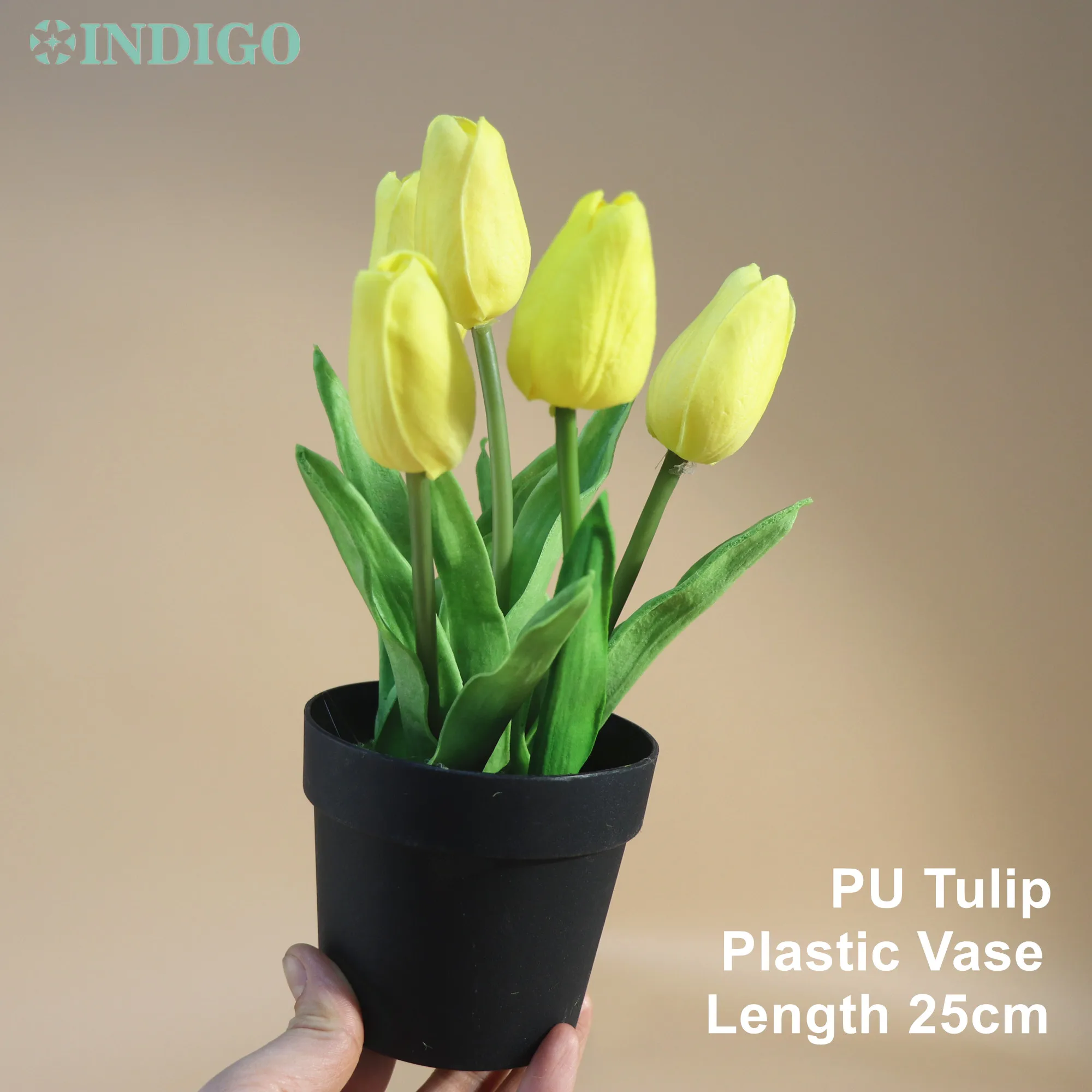 Bunga Tulip Merah Muda