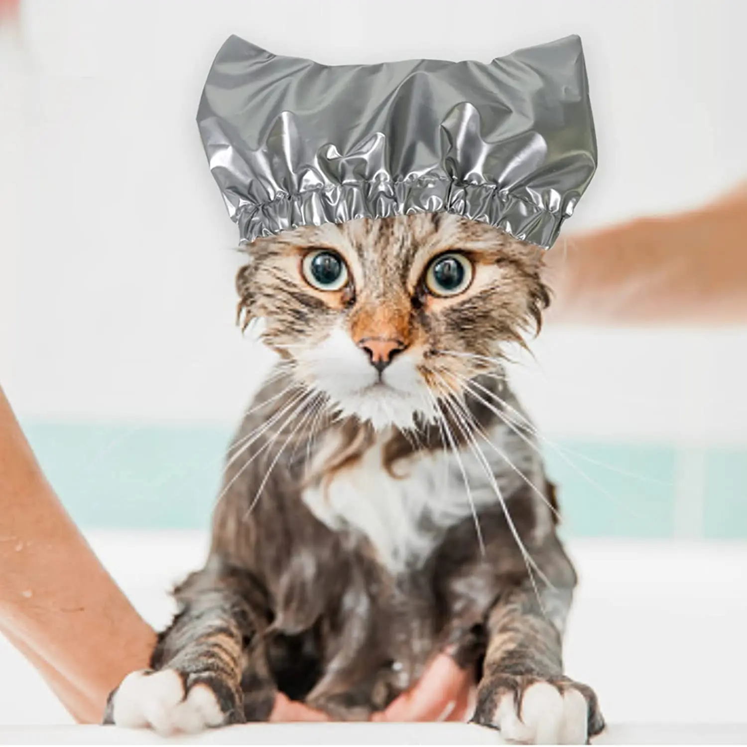 Bath-Shower-Cap-for-Cat-Double-Waterproof-Layers-Bathing-Shower-Dog ...