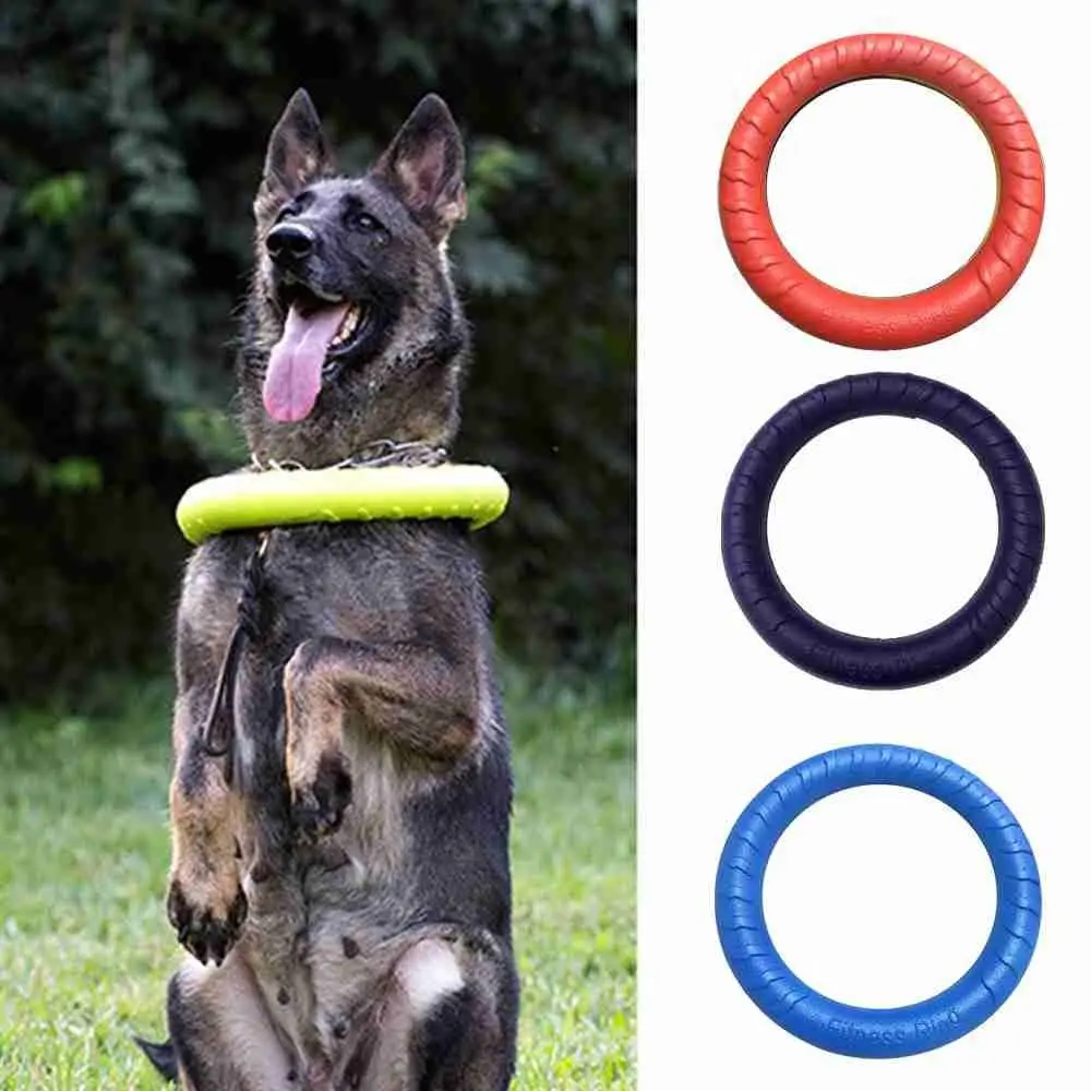 Playing-Products-Outdoor-Play-Floating-Anti-Bite-Pet-Toy-Dog-Training ...